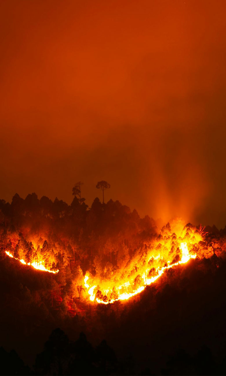 Fireblock – FIREBLOCK is a unique, effective fire fighting gel, for use ...